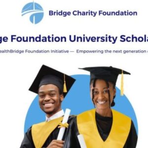 Bridge Foundation University Undergraduate Scholarship 2026 | Fully ...